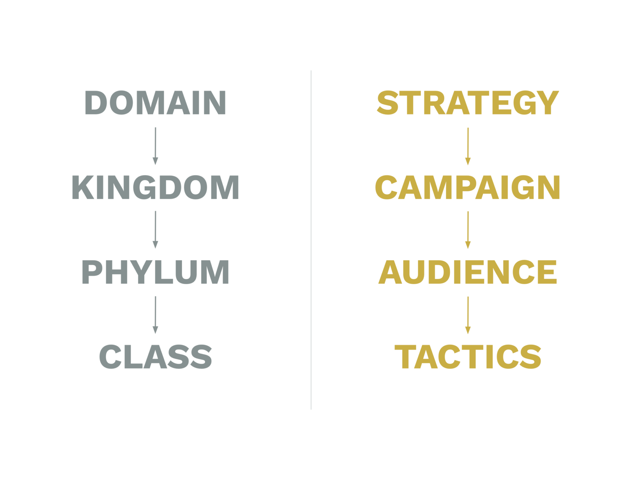 What Is a Marketing Strategy? | Fidelis Creative Agency